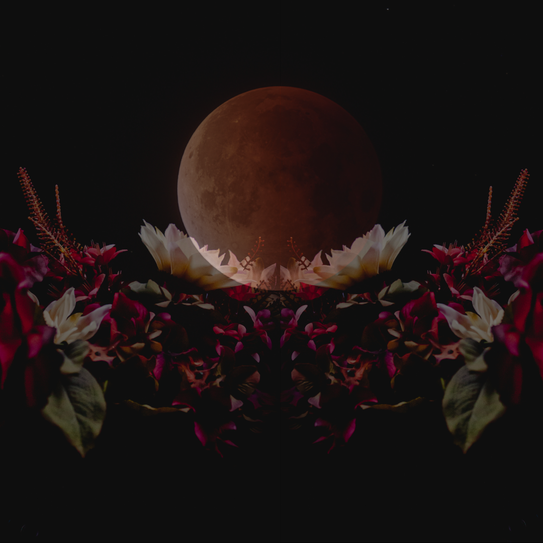 total lunar eclipse | Reflections Books
